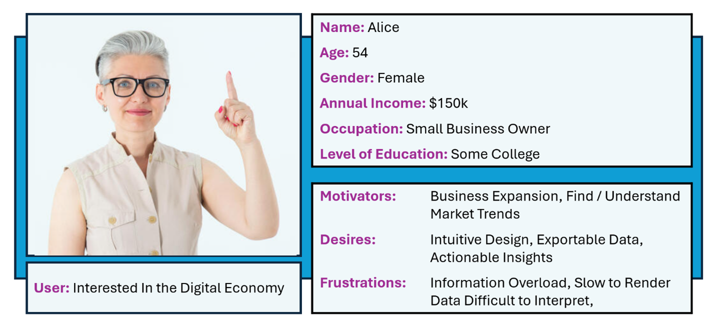 exploring the digital economy - Target Audience